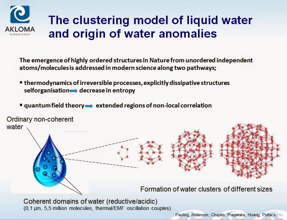 La nature de l'eau: EAU ET INFORMATION (Les domaines de cohérence)
