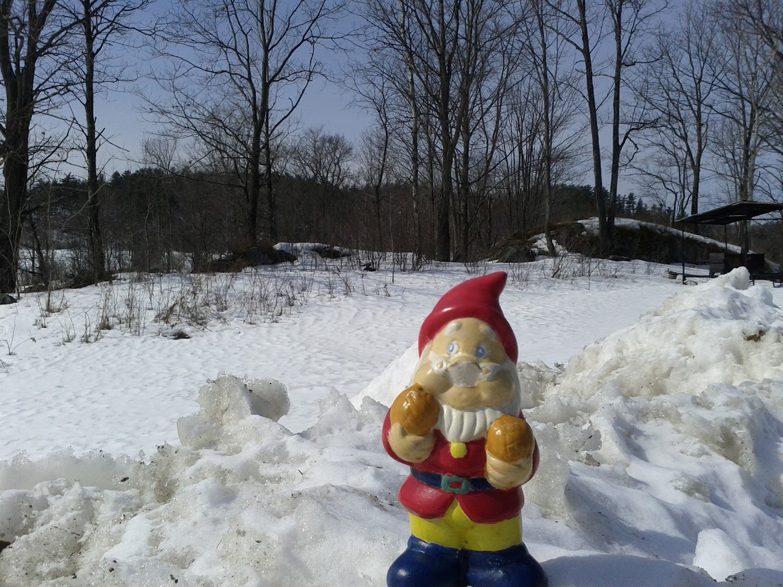 Adventures of the Garden Gnome Liberation Front (GGLF): Sugar Shack in ...