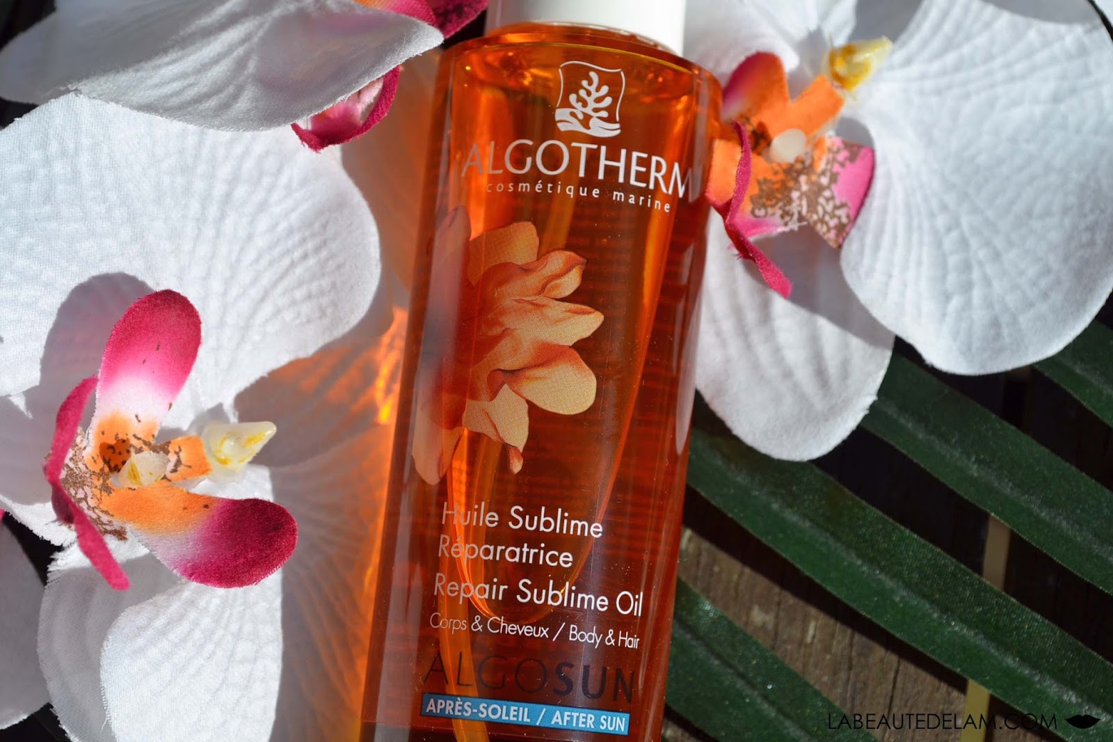 Algotherm : protéger sa peau et l'océan avec AlgoSun ([CLOS] concours ...