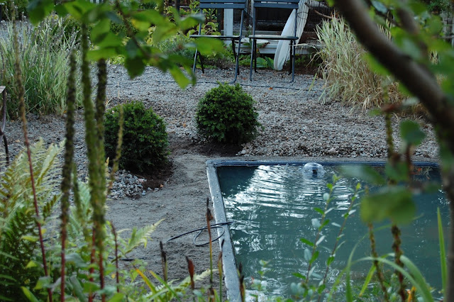 M/S DESIGN Trädgård och Keramik: Dammen gjordes om...