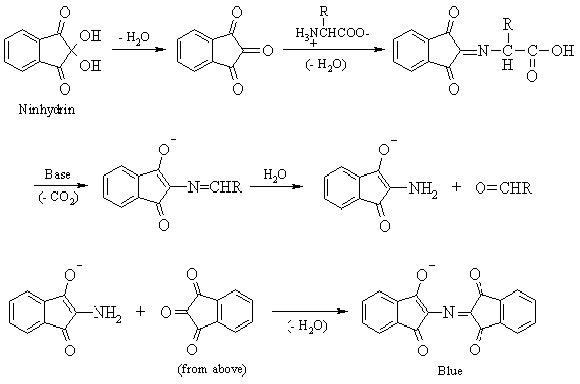 Chemistry Laboratory: Isolation of Casein and Lactose from Milk