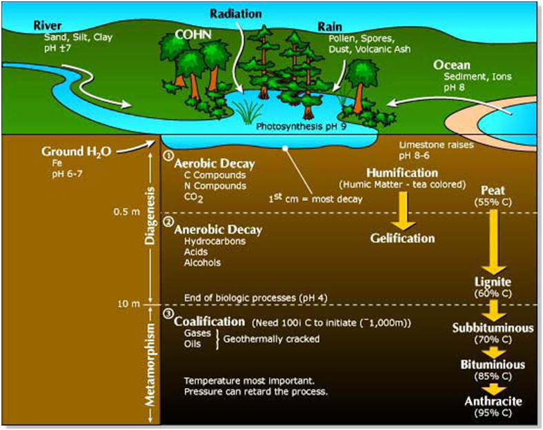 ayo belajar GEOLOGI !!": BATUBARA