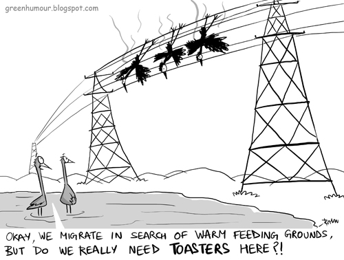 Green Humour: December 2011