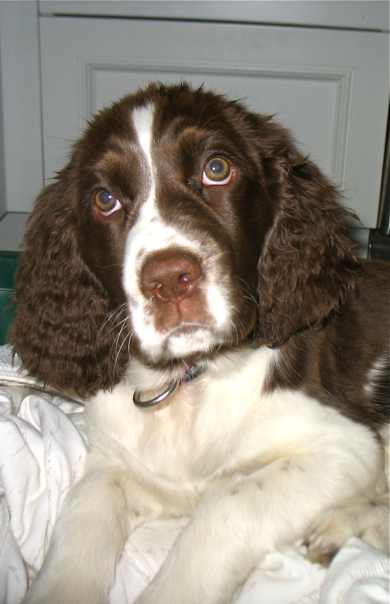 SeaglassSundays: Saint Sally