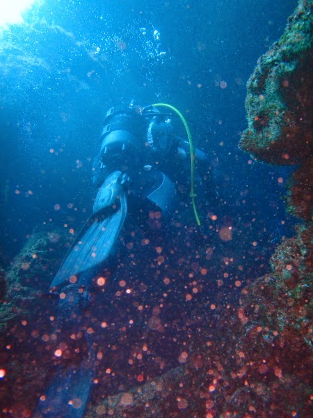 Best Spot Azores PADI 5* Dive Center: Scuba Diving Ponta Delgada Azores