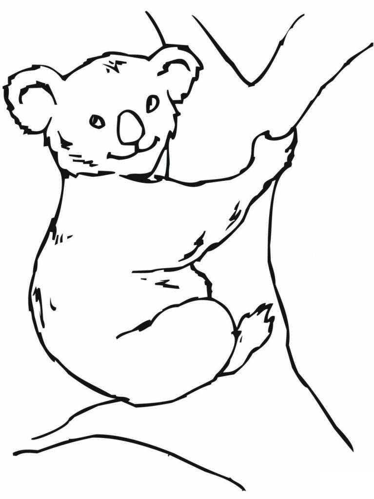 Kids Page: - Aboriginal Animal List Colouringpage 2 Coloring Pages