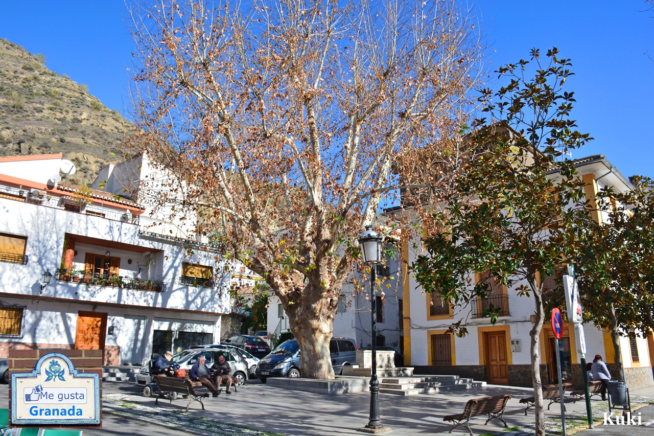 Que ver en Granada: Pinos Genil