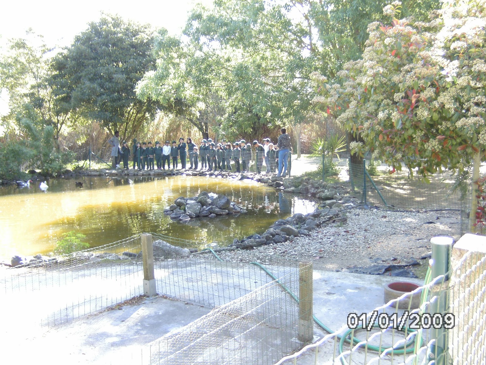 QUOD ERAT - Externato Flor do Campo: 1.º Ano