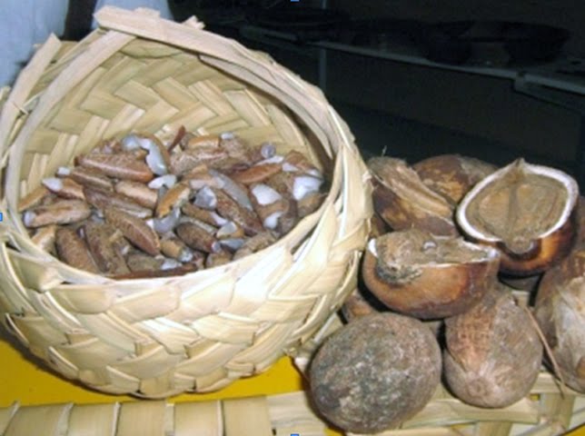 ACAF: Óleo de coco babaçu