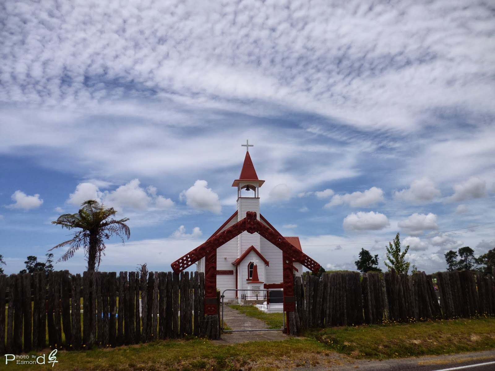 出走纽西兰(New Zealand)のTe Puke