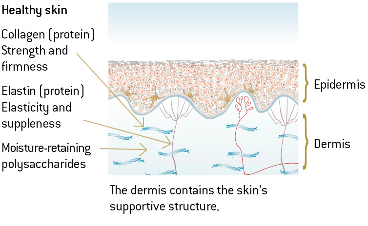 How to Fight Wrinkles, Signs of Ageing