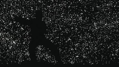 Honors English 11: Stephen Crane - "A Man Said to the Universe"