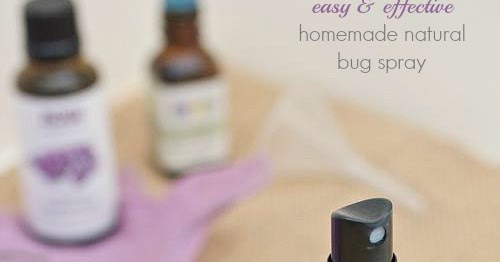 Homemade natural bug spray | Yankee Kitchen Ninja