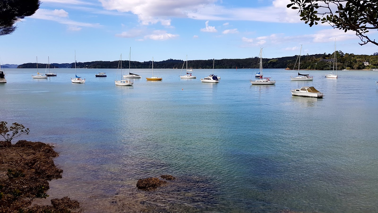 Opua Coastal Walkway