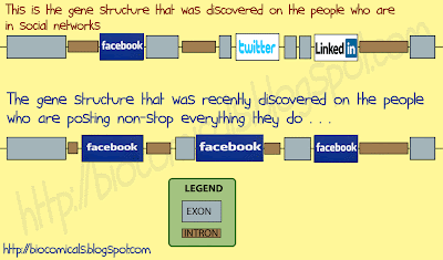 Biocomicals: Social network gene discovered