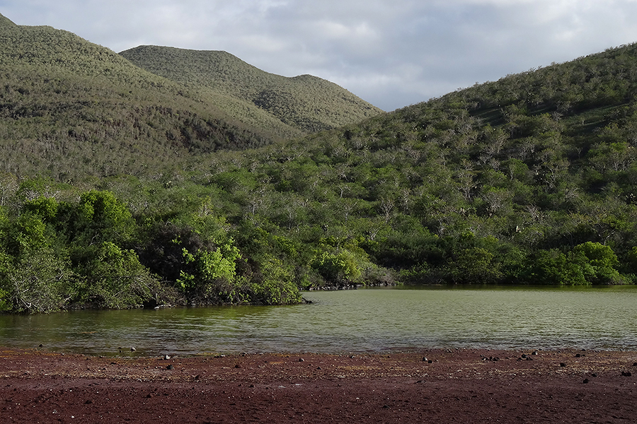 A passion for birds...: Galápagos Day 10 (evening) - Isla Rábida