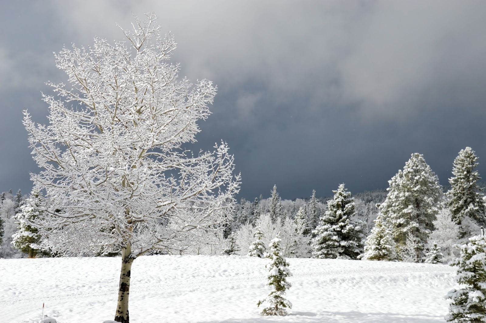 Creative Journey: Week 17 - 2016 in Photographs