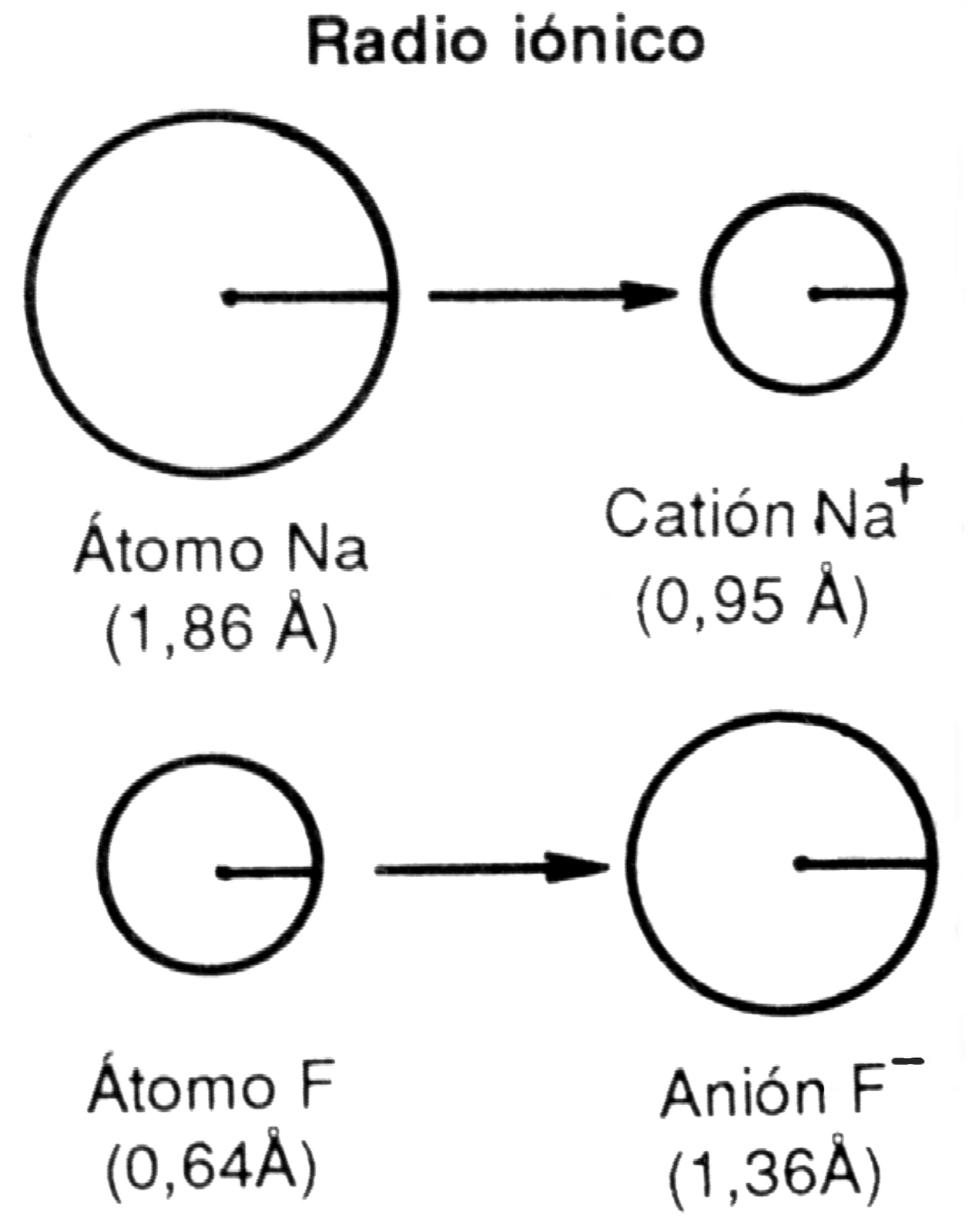 EL FÍSICO LOCO: Tendencias periódicas de las propiedades de los elementos