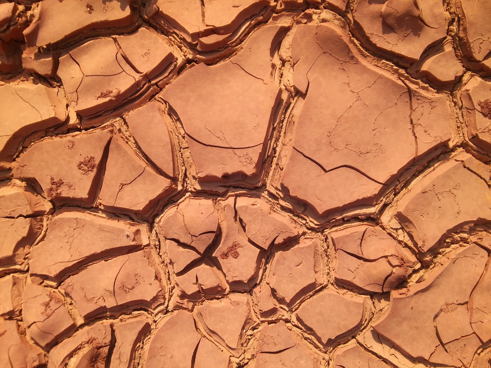 Rukshan Maliq's Blog: The Intricacies of Mud Crack Formation