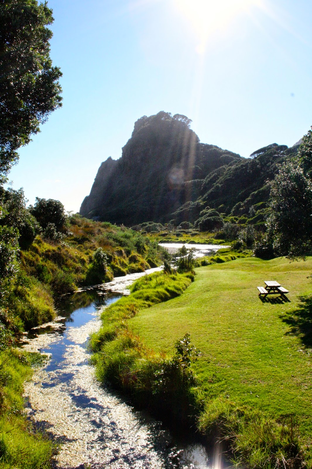 Take On Takapuna: Kite Kite Falls & Bryers Walk and Kare Kare Falls