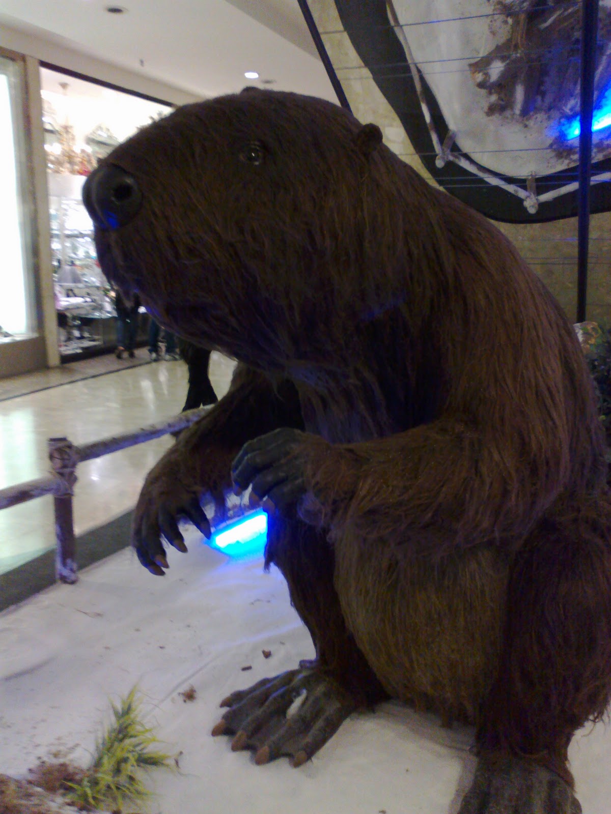 Paleo Arte Moderna: outubro 2011