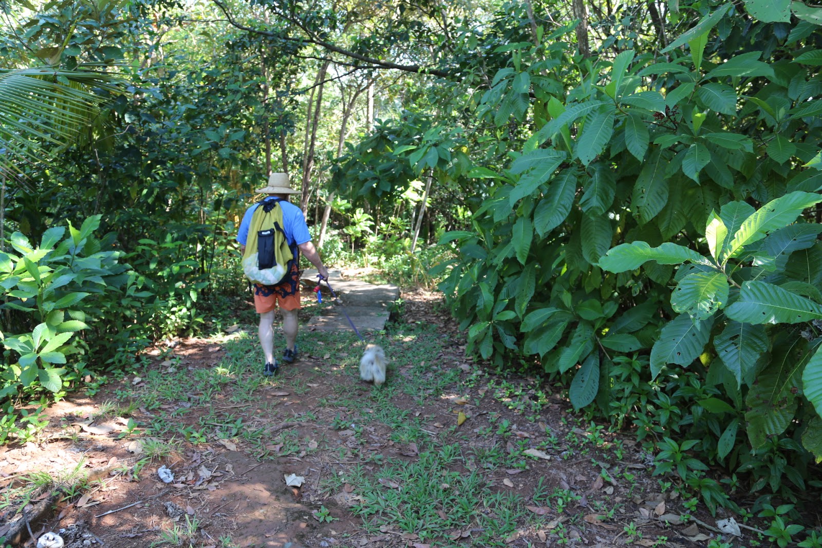 Panama’s Pacific Coast; Onward to Boquete – Playa Morillo, Veraguas