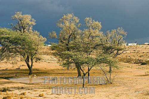 Names of God – El Olam | Proven Path Ministries