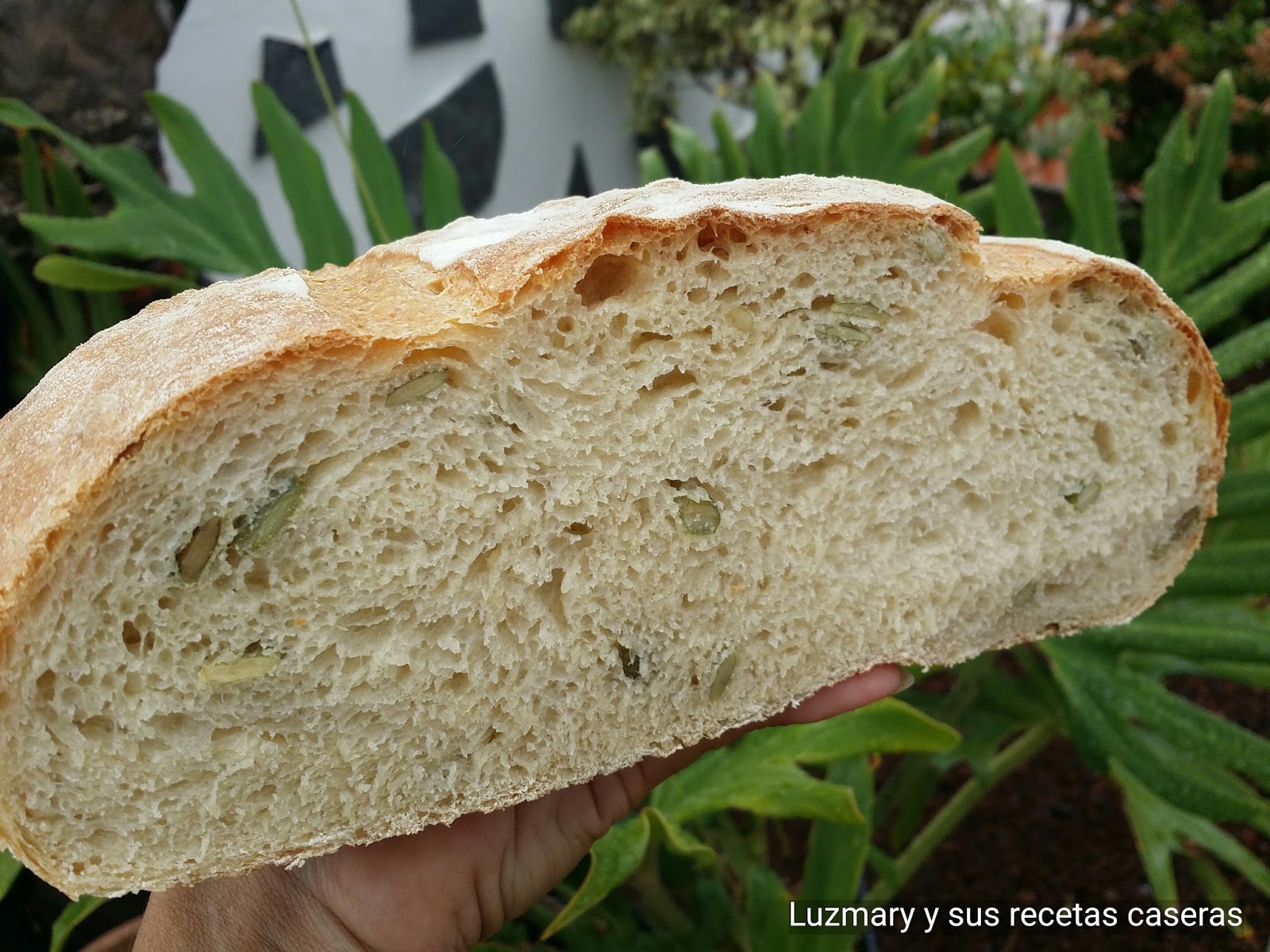 Luzmary y sus recetas caseras: PAN CON PIPAS DE CALABAZA (horno de gas )