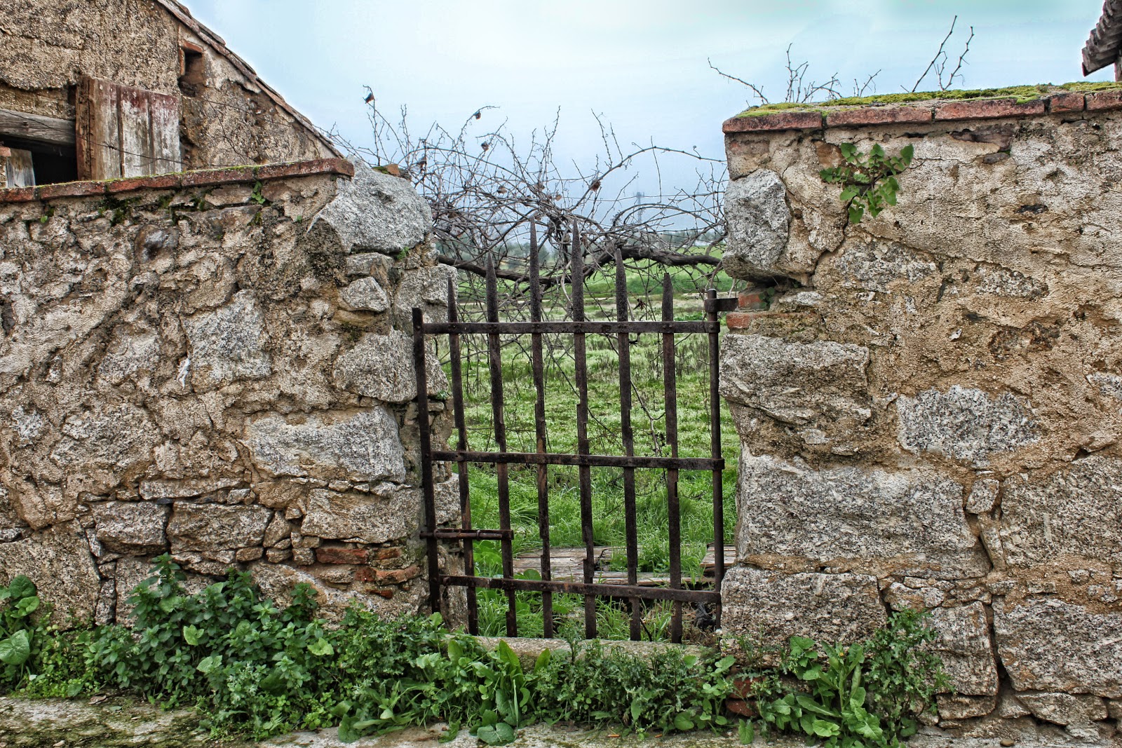 Fotografías de Javier Escudero: Verja
