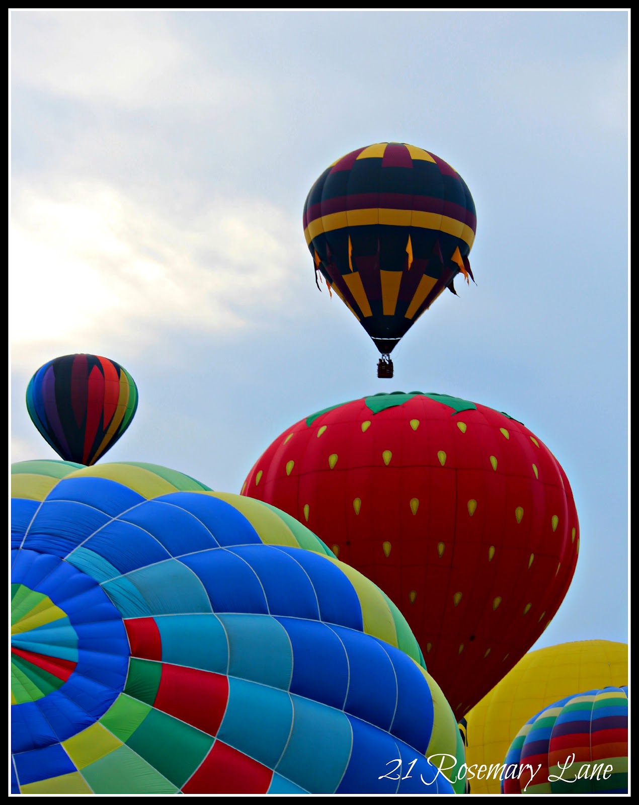 21 Rosemary Lane: Up Up and Away ~ The Balloon Festival