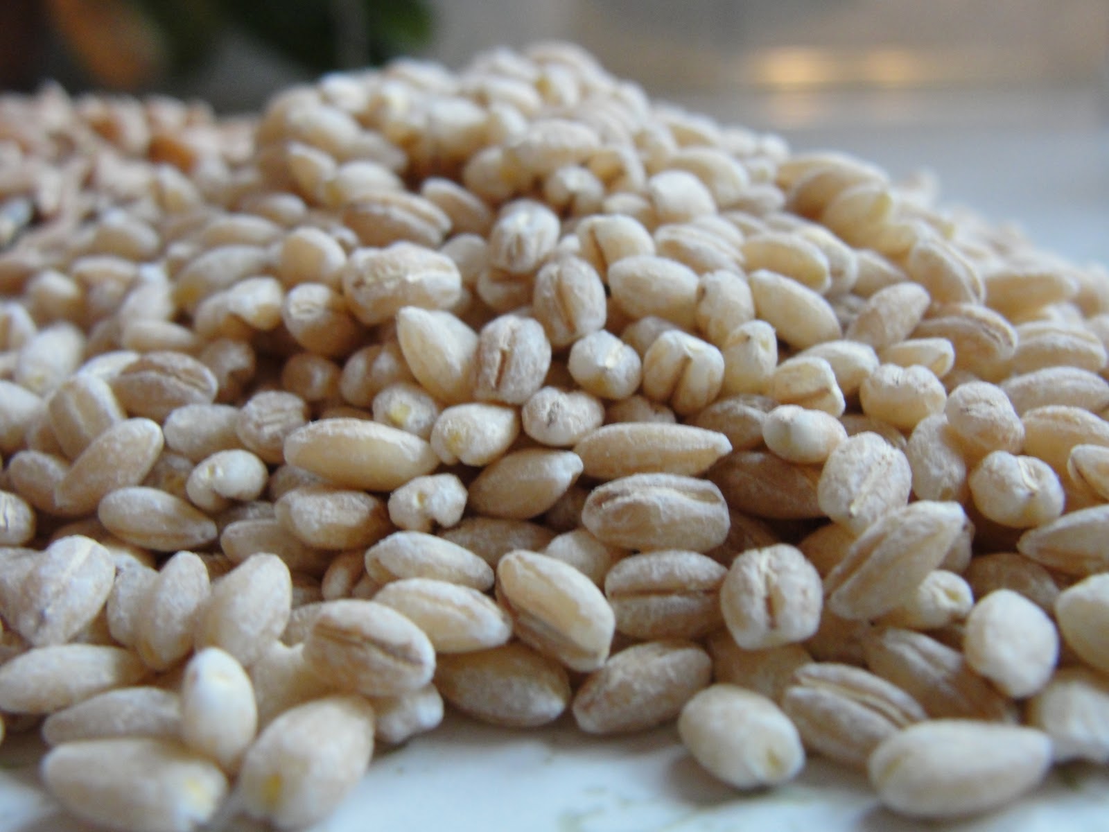 Healthy Family Cookin': Monday Meet Whole Foods: Wonder Flour!