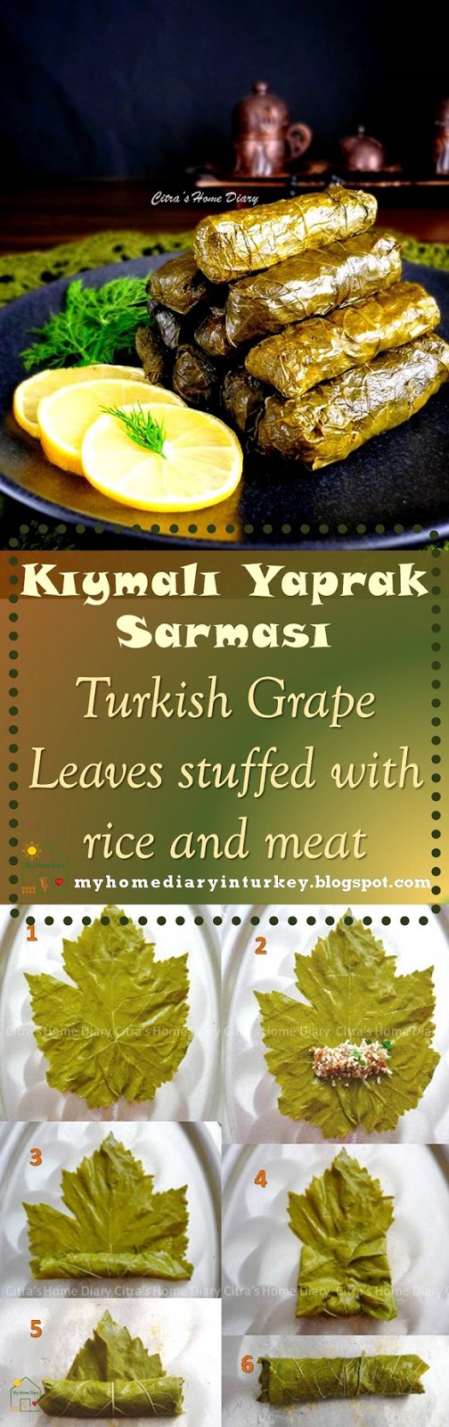 Citra's Home Diary: Kıymalı Yaprak Sarması / Turkish Grape Leaves ...