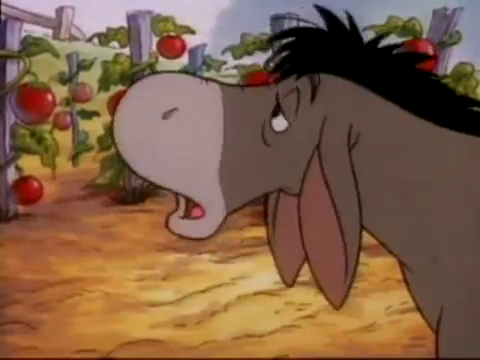 The New Adventures of Winnie The Pooh: Eeyi Eeyi Eeyore Part 1