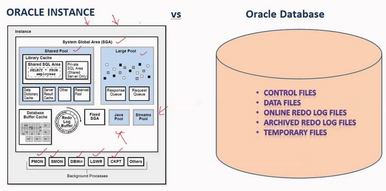 SAP BASIS Crew: Oracle database 12c-2