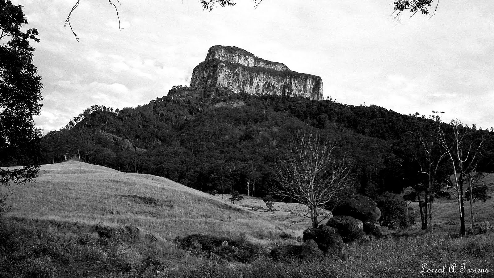 Capture's Of Life & Beauty