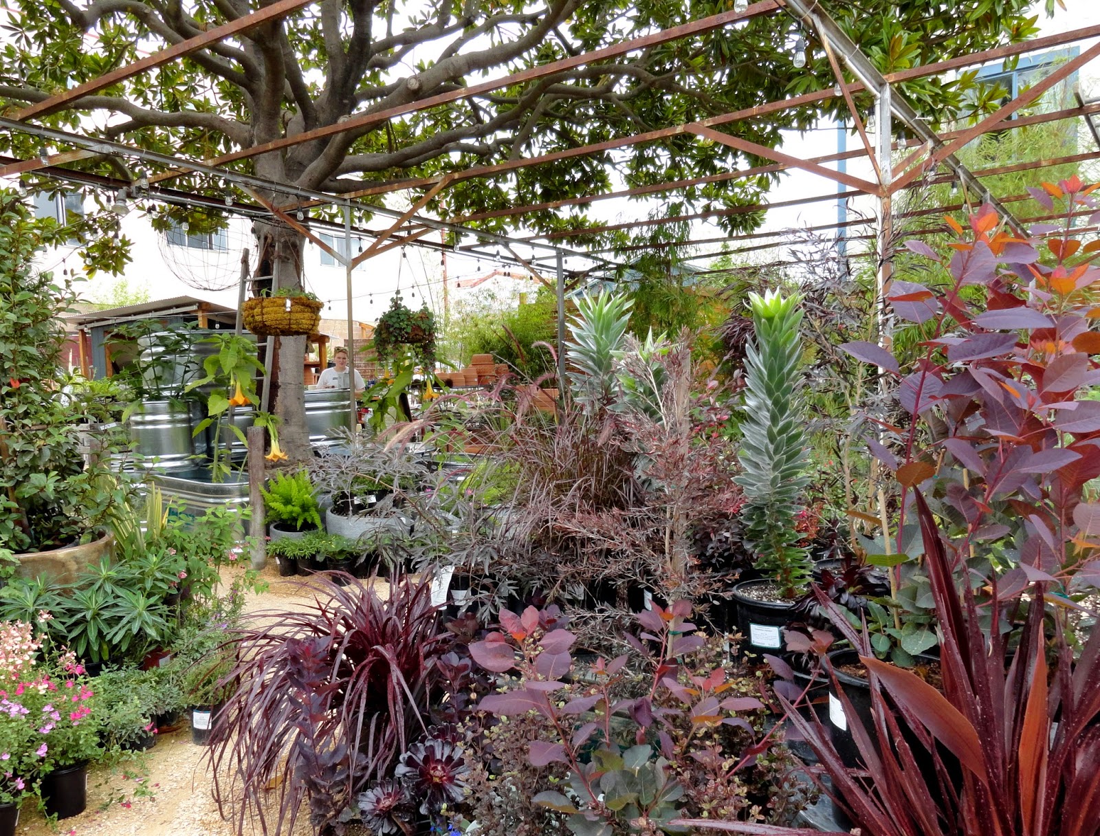 danger garden: Visiting Flowerland...