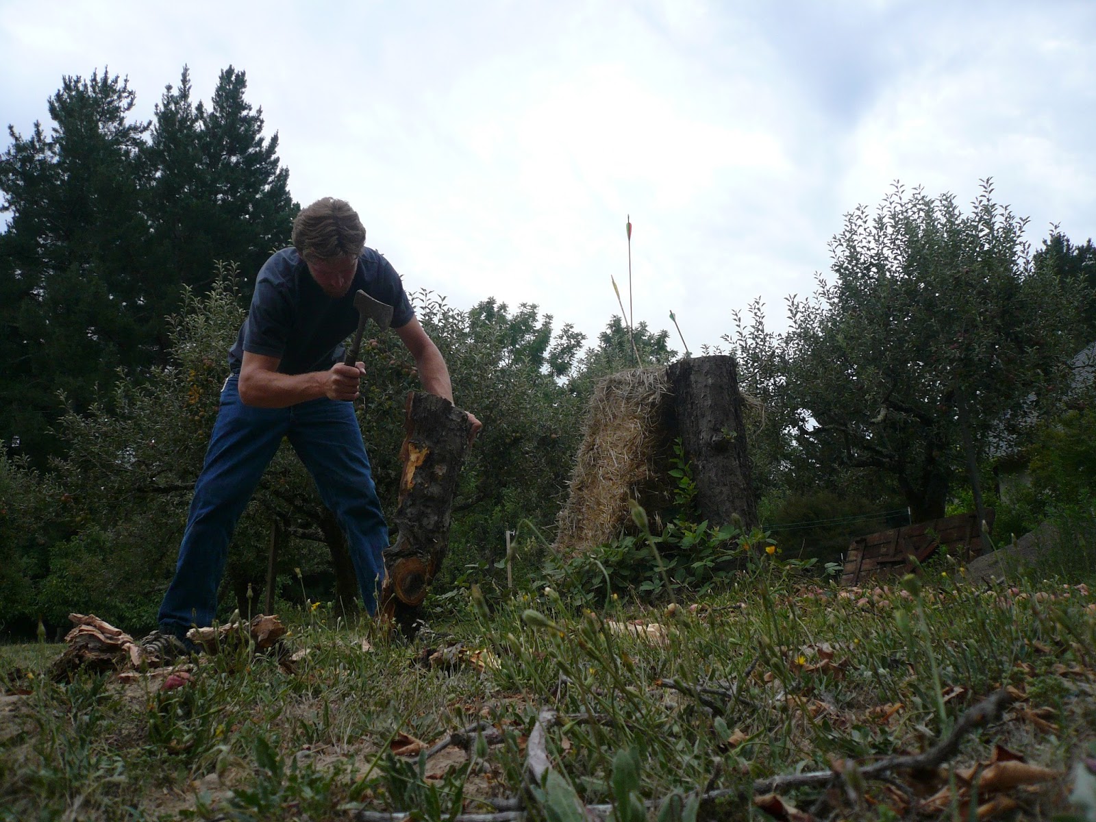 Countryman: Foraging California's Wild Side: Wood is Good: Foraging for ...