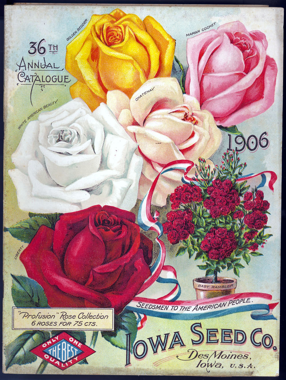 the last door down the hall: Seed Catalog Freebies