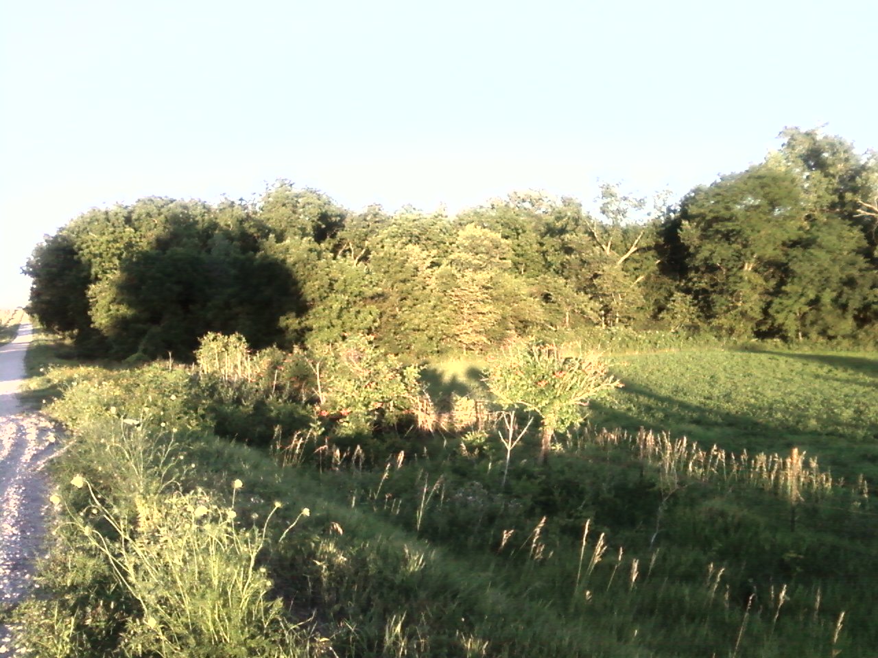 Beam The Light Be The Change: A Healing Journey Part Four: Pictorial