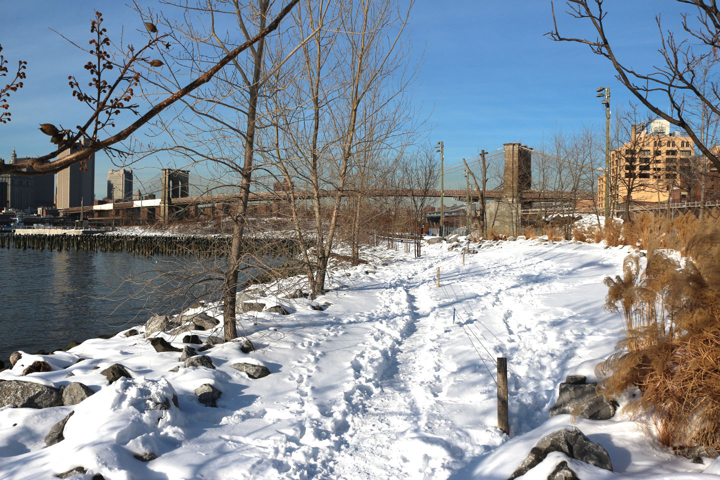 66 Square Feet (Plus): Brooklyn Bridge Park under snow