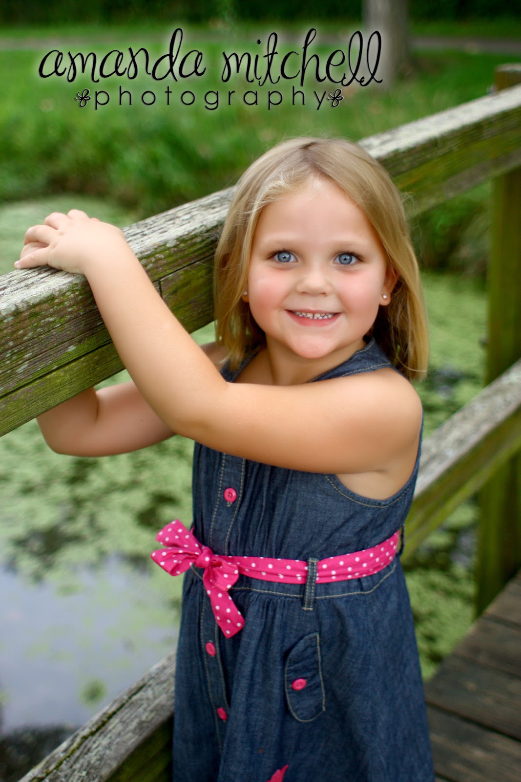 Amanda Mitchell Photography: Mini Sessions