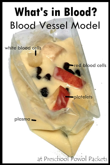 What's Inside Your Blood Science Experiment - An Edible Model ...