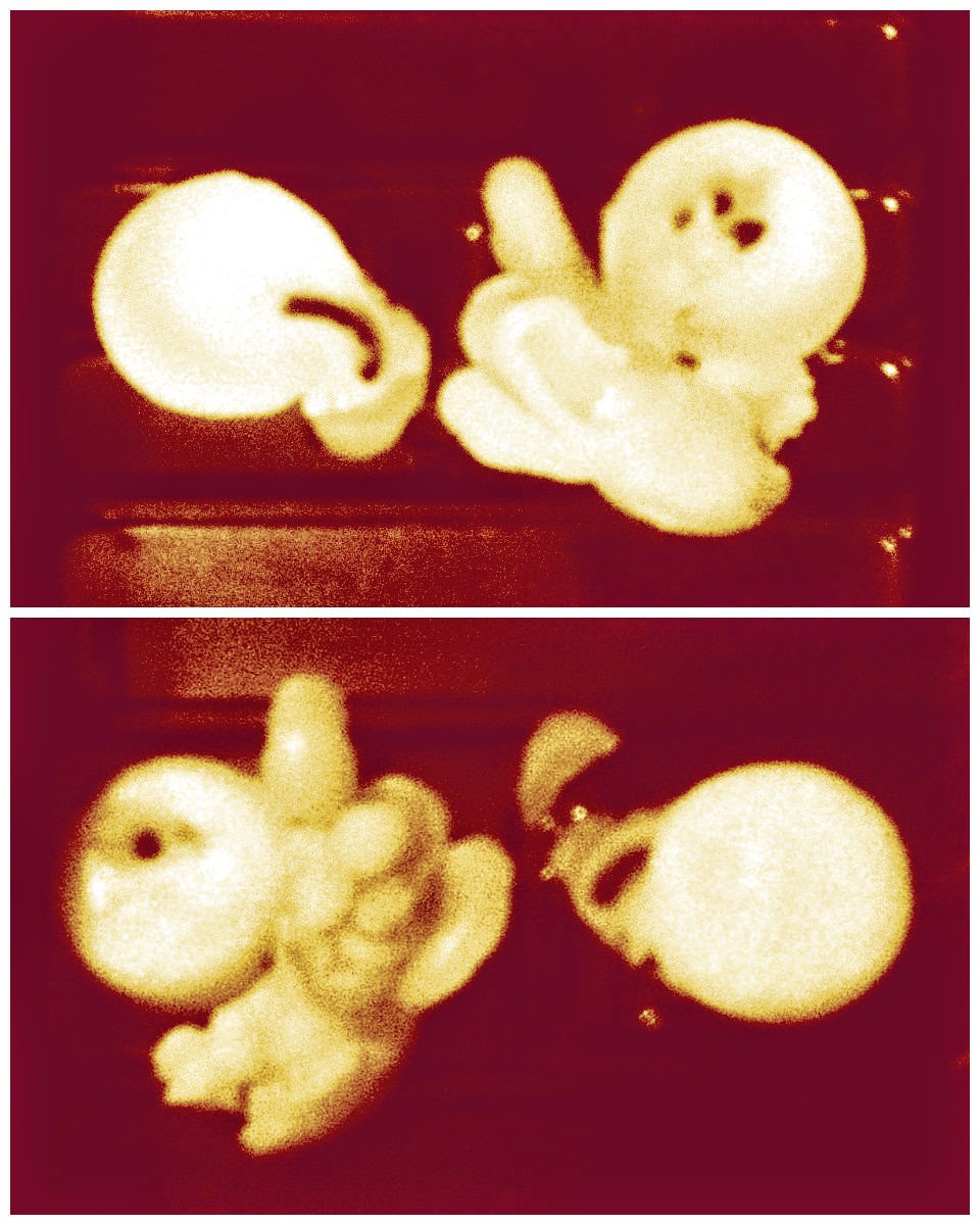 Shadows magick place: Ceromancy, the oracle of wax