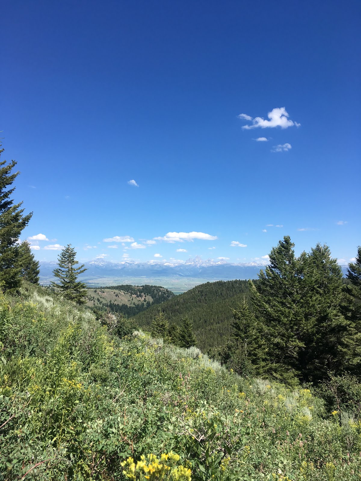 Hike - Packsaddle Lake - #JUSTADATE