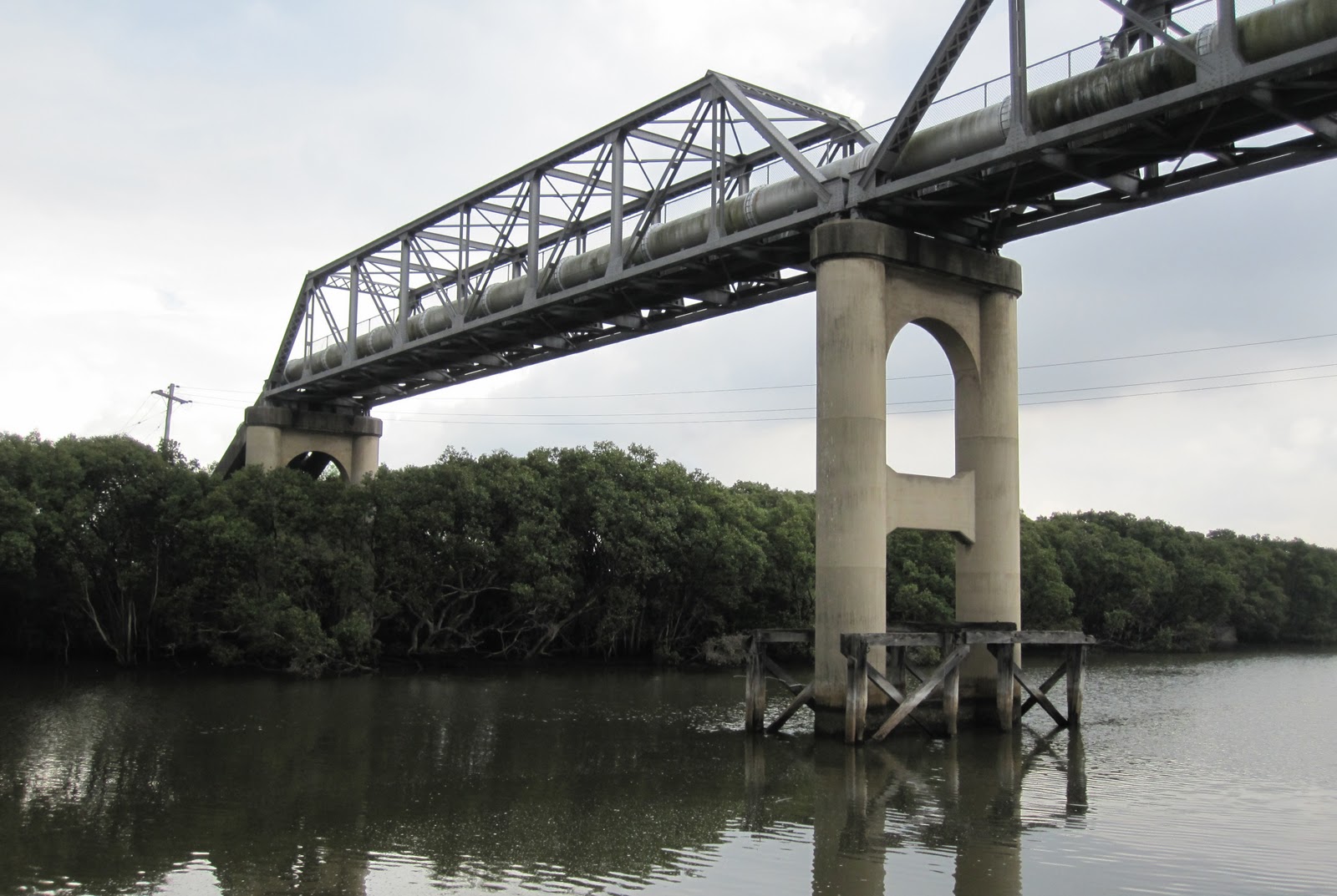 Bridge of the Week: Australia's Bridges: Rydalmere Pedestrian Bridge ...