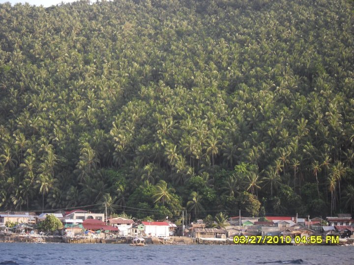 Its More Fun In ALmagro Samar Island: Its More Fun In Almagro Samar Island