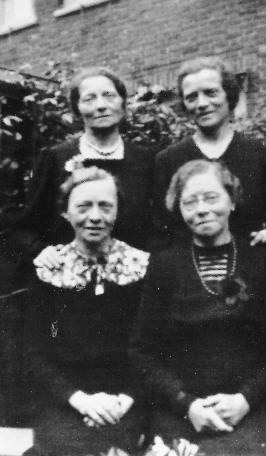 Ghost Blooms: The Early History Of The Van Asten's Of Haarlem, in the ...