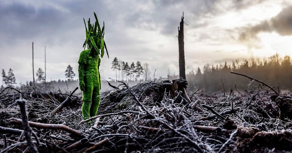 Land of Estebor: The "Moss People" Sculptures by Kim Simonsson