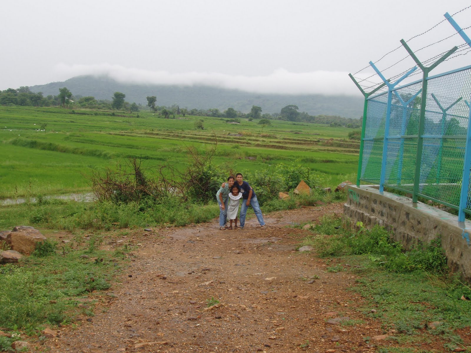 Asha's musings & ramblings: An electrifying affair with nature - Shimsha