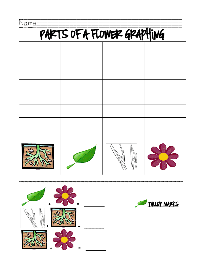 Estes Extras: Graphing Plants